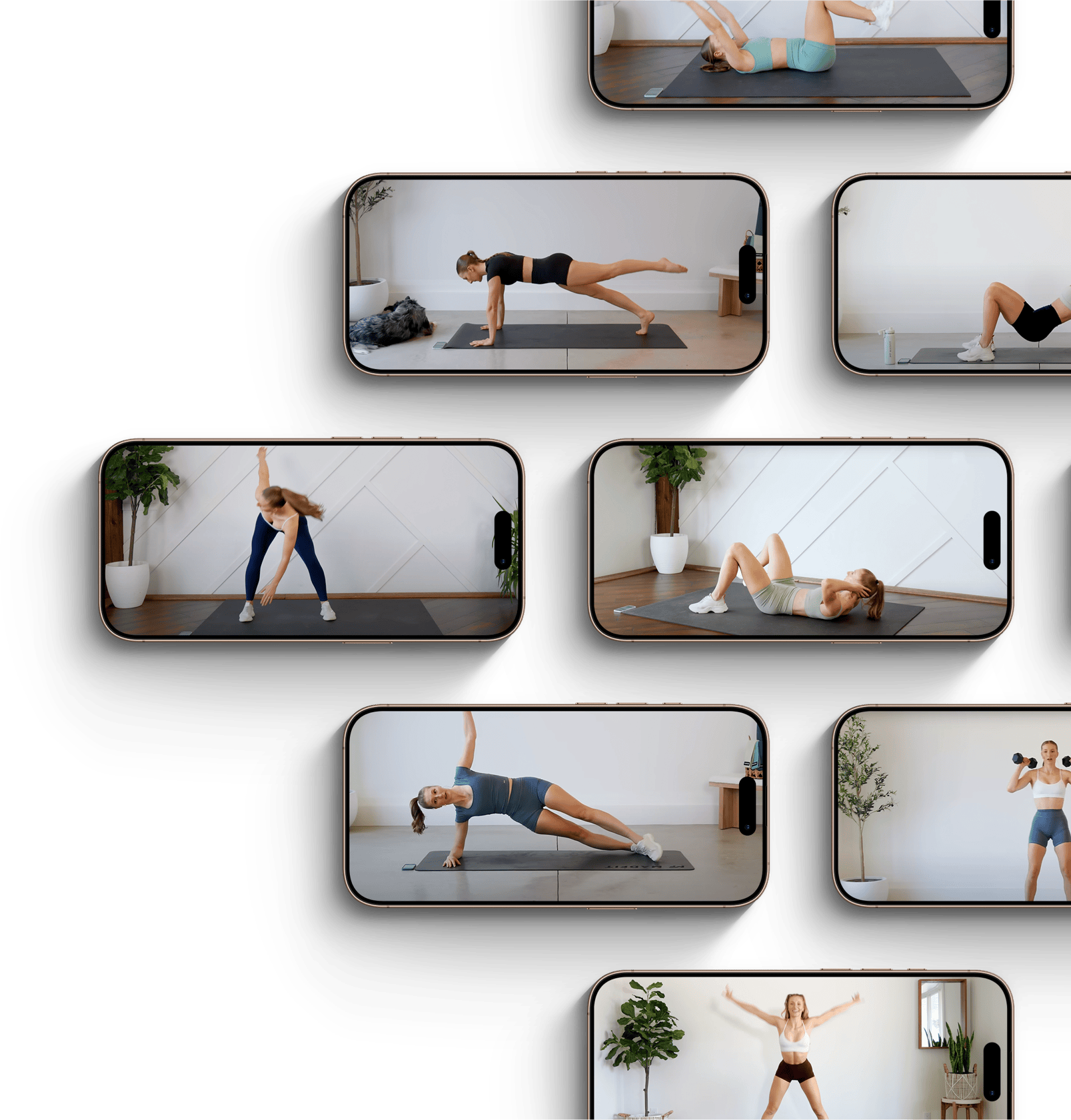 MadFit