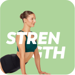 MadFit